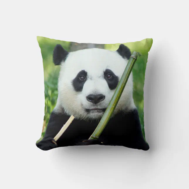 Giant Panda Holding Bamboo Throw Pillow | Zazzle