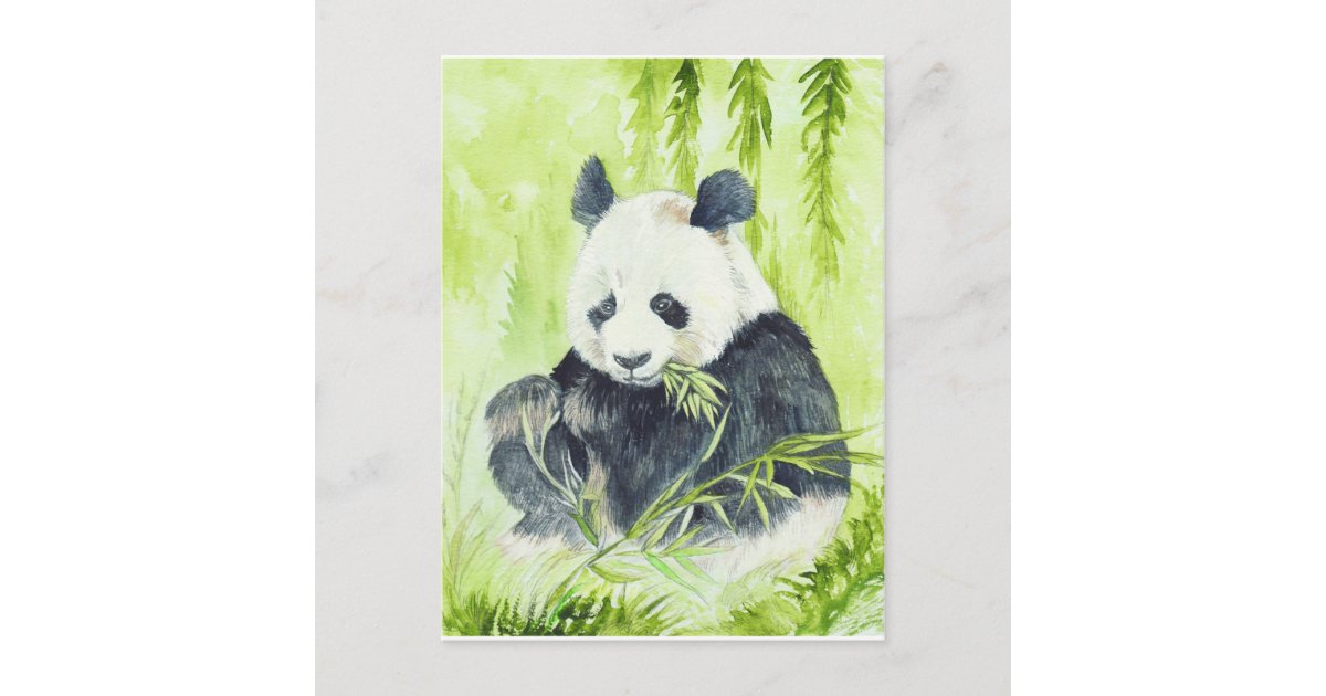 Giant panda postcard | Zazzle