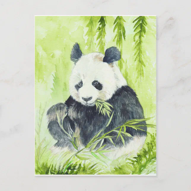 Giant panda postcard | Zazzle