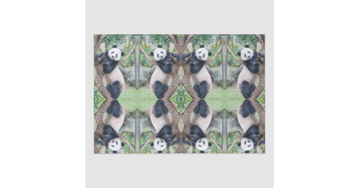 Giant Panda Tissue Paper / Decoupage Paper | Zazzle