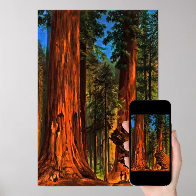 Giant Redwood Forest Trees Yosemite Valley Cali Poster | Zazzle