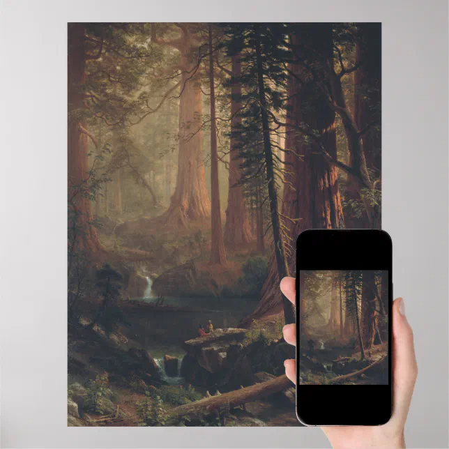 Giant Redwood Trees of California Poster | Zazzle