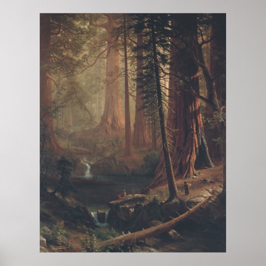 Giant Redwood Trees of California Poster | Zazzle.com