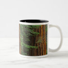 Rustic Thank You Teacher Nature Photo Appreciation Coffee Mug | Zazzle.com