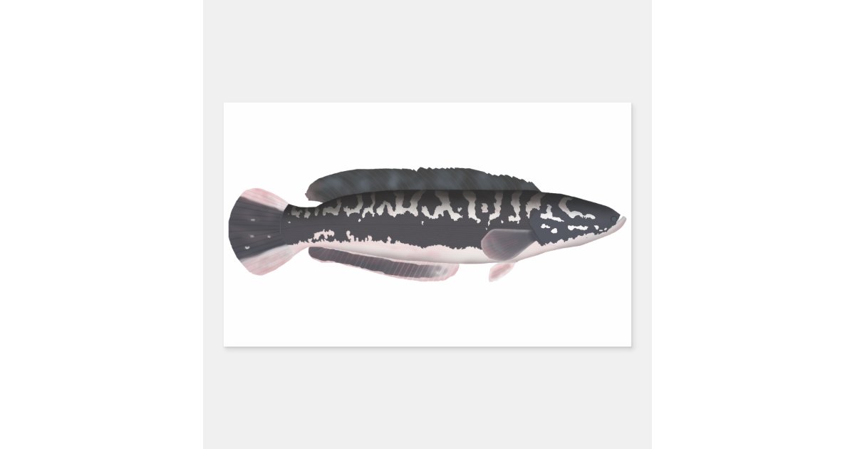 Giant Snakehead Rectangular Sticker | Zazzle
