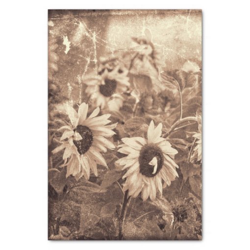 Giant Sunflowers Sepia Floral Texture Decoupage Tissue Paper | Zazzle
