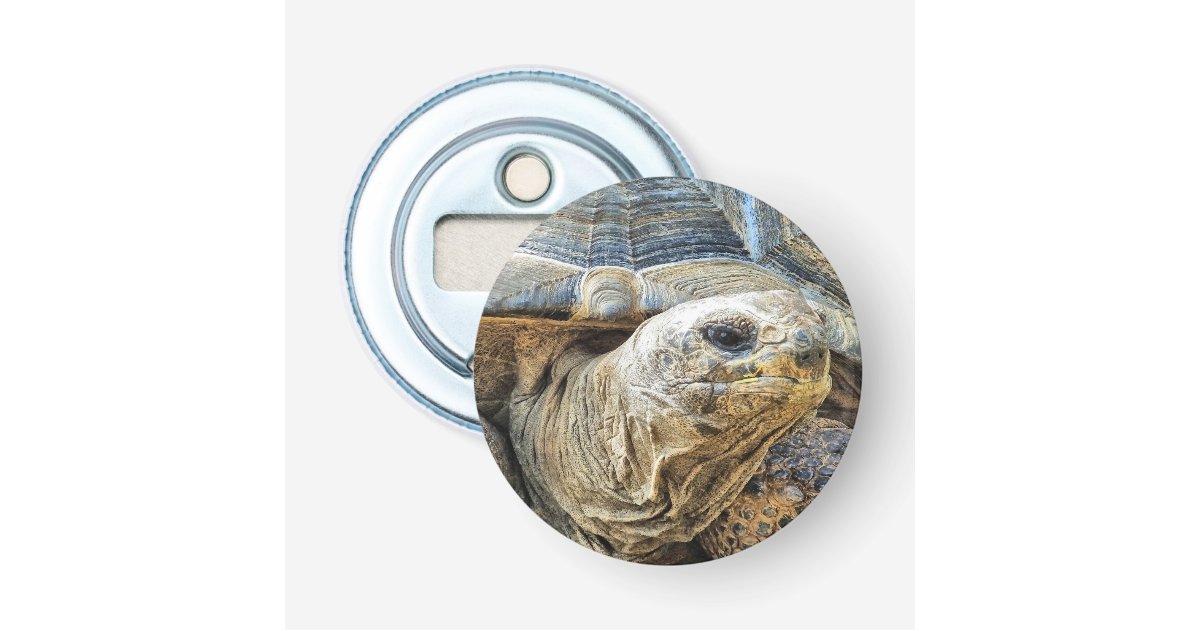 GIANT TORTOISE BOTTLE OPENER | Zazzle