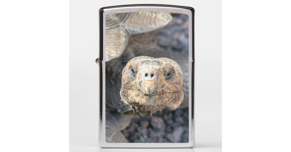 Giant Tortoise Zippo Lighter | Zazzle