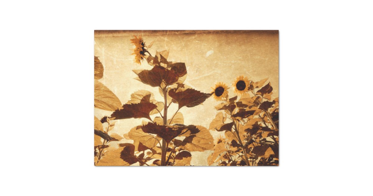 Giant Vintage Sunflowers Sepia Decoupage Art Tissue Paper | Zazzle