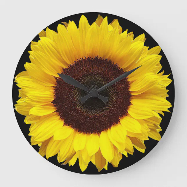 Giant Yellow Garden Sunflower on Black Background Large Clock | Zazzle