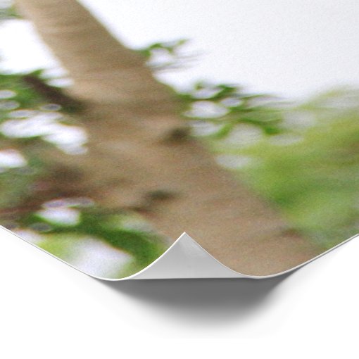 Gibbon Swinging from Tree Poster | Zazzle