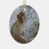 Gibraltar Monkeys ornament | Zazzle