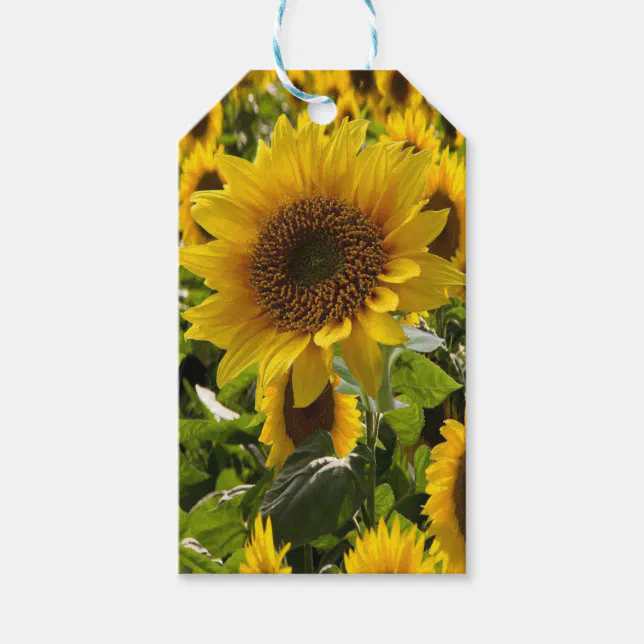 Gift Bags Sunflowers Gift Tags | Zazzle