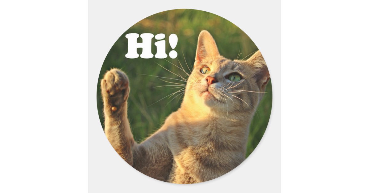 Ginger Cat Saying Hi! Classic Round Sticker | Zazzle
