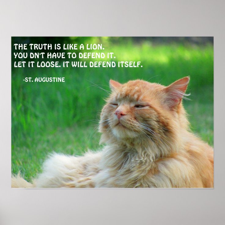 Ginger Cat St. Augustine Truth Quote Poster | Zazzle
