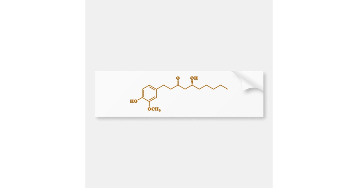 Ginger Gingerol Molecule Chemical Formula Bumper Sticker | Zazzle