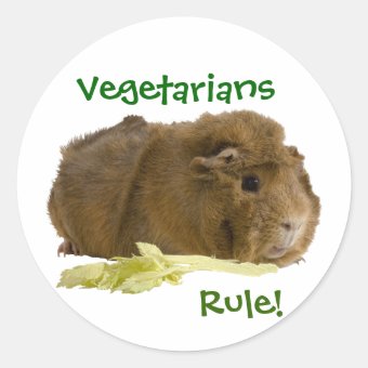 Ginger Guinea Pig Eating A Celery Stalk Photograph Classic Round ...