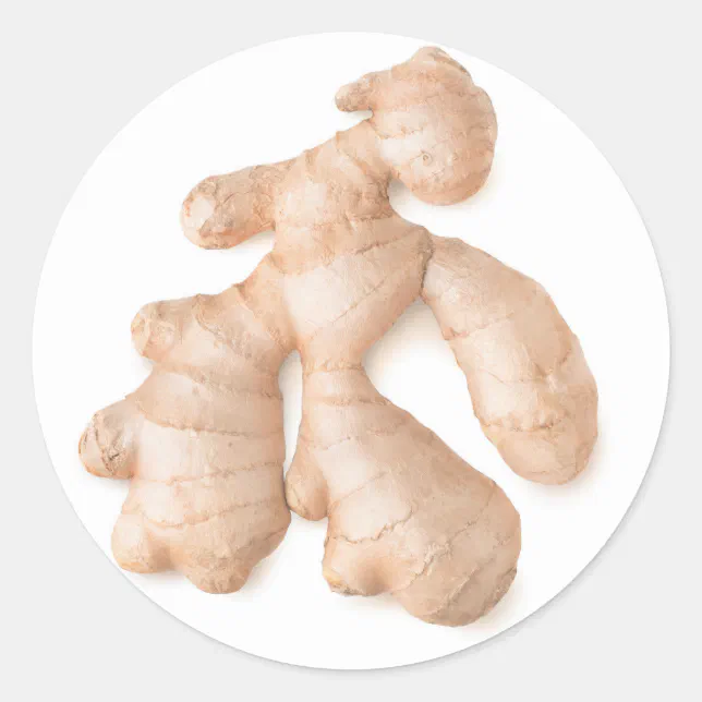 Ginger root classic round sticker | Zazzle