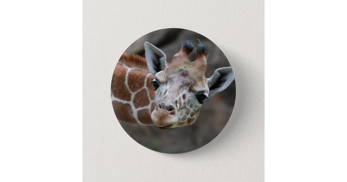 Giraffe Button | Zazzle