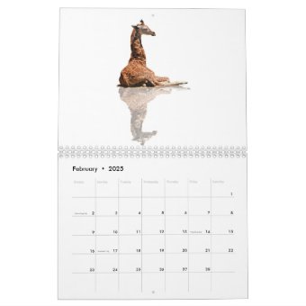 GIRAFFE CALENDAR | Zazzle