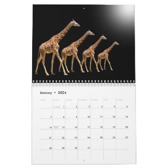 GIRAFFE CALENDAR | Zazzle