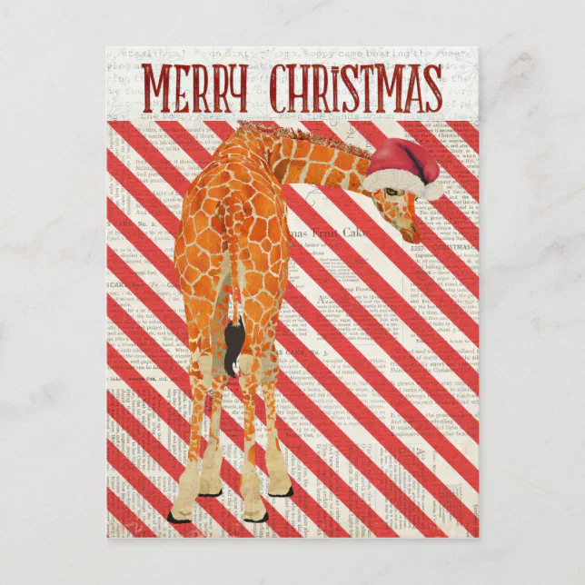 Giraffe Candy Cane Postcard | Zazzle