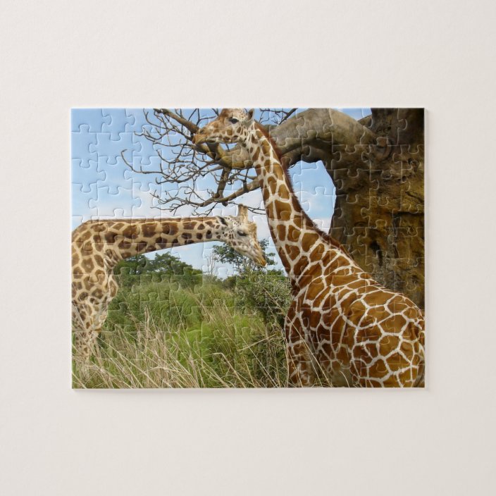 Giraffe Game Puzzle | Zazzle.com