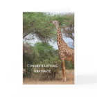 Giraffe Graduation Card | Zazzle