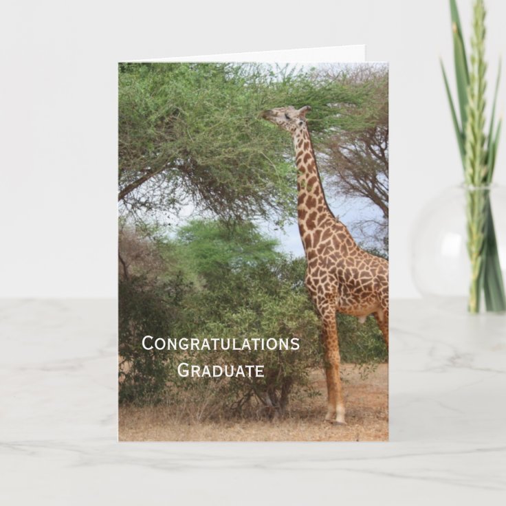 Giraffe Graduation Card | Zazzle