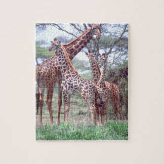 Giraffe Jigsaw Puzzles | Zazzle