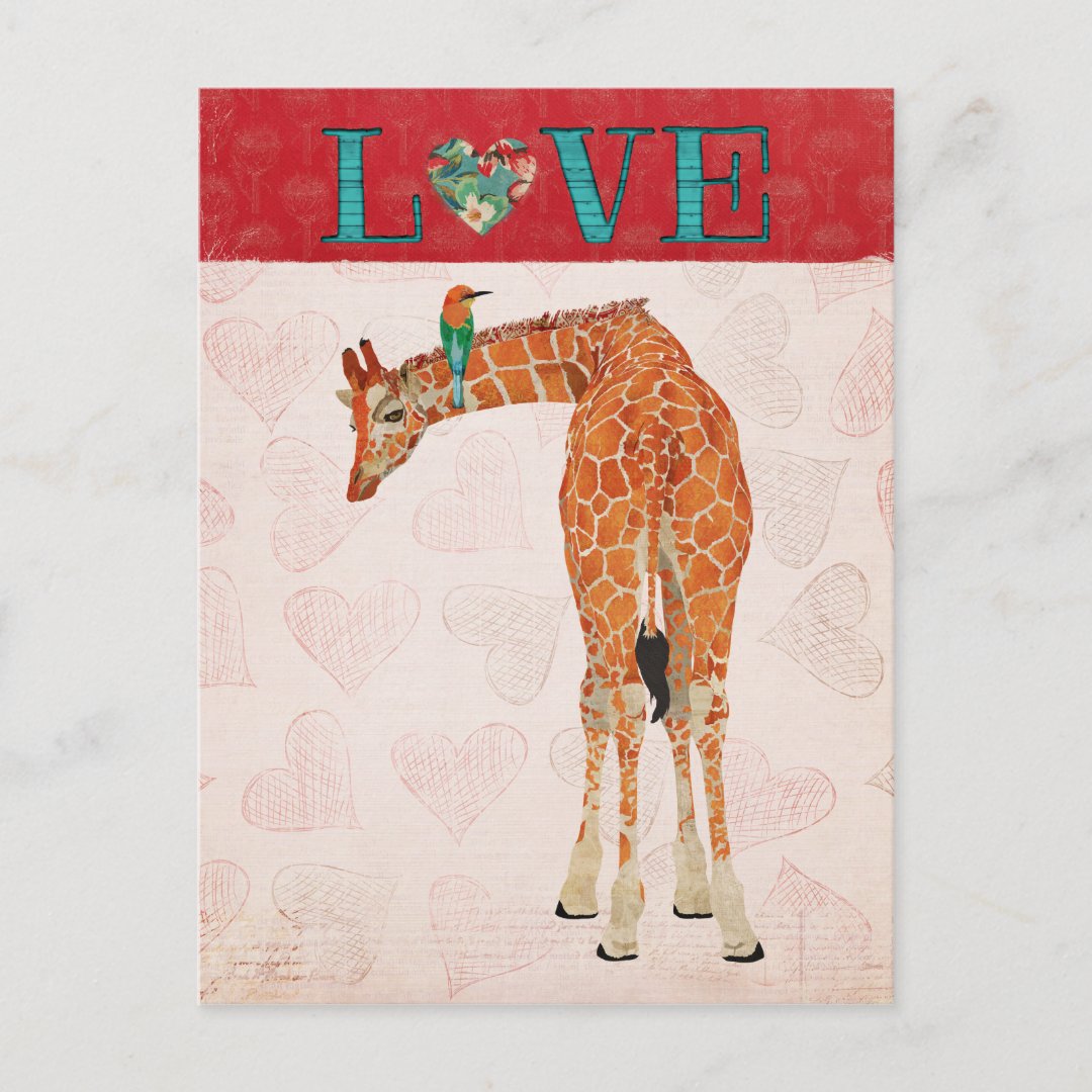 GIRAFFE & HUMMINGBIRD LOVE Postcard | Zazzle