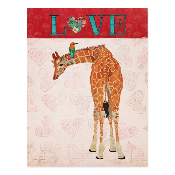 GIRAFFE & HUMMINGBIRD LOVE Postcard | Zazzle.com