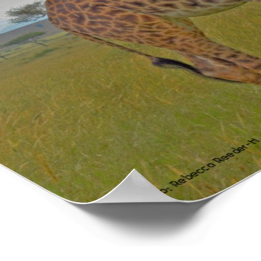 Giraffe Masai Mara , Kenyan Proverb Poster | Zazzle