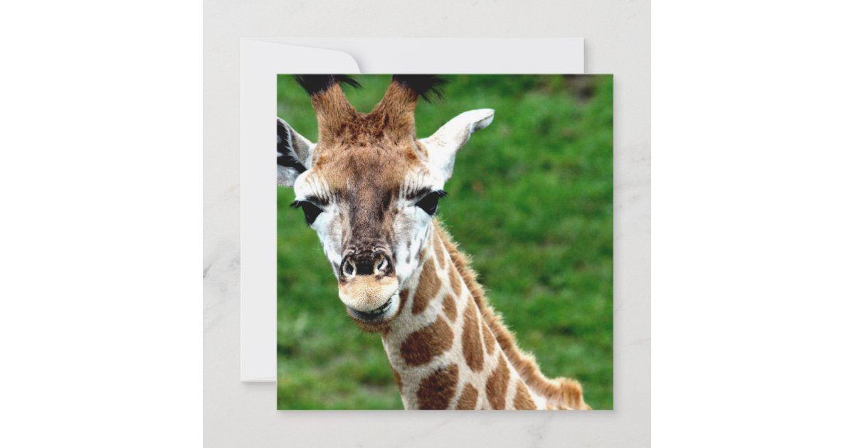 Giraffe Photo Invitation | Zazzle