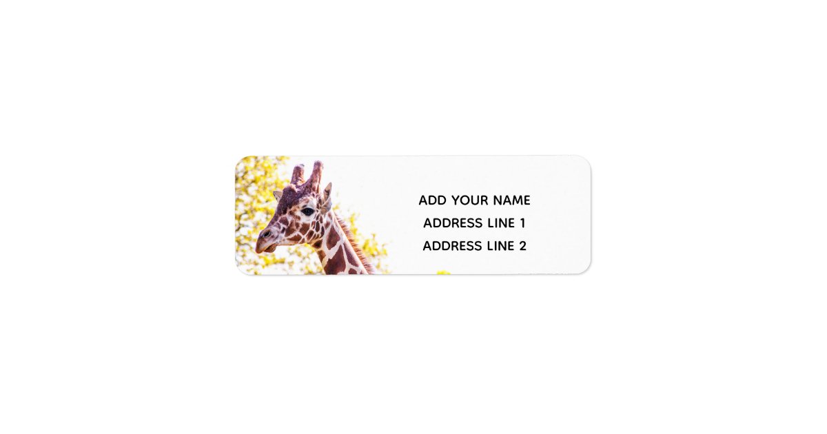 Giraffe Portrait Label | Zazzle