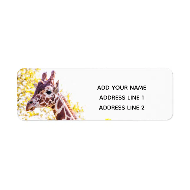 Giraffe Portrait Label | Zazzle