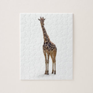 Giraffe Jigsaw Puzzles | Zazzle