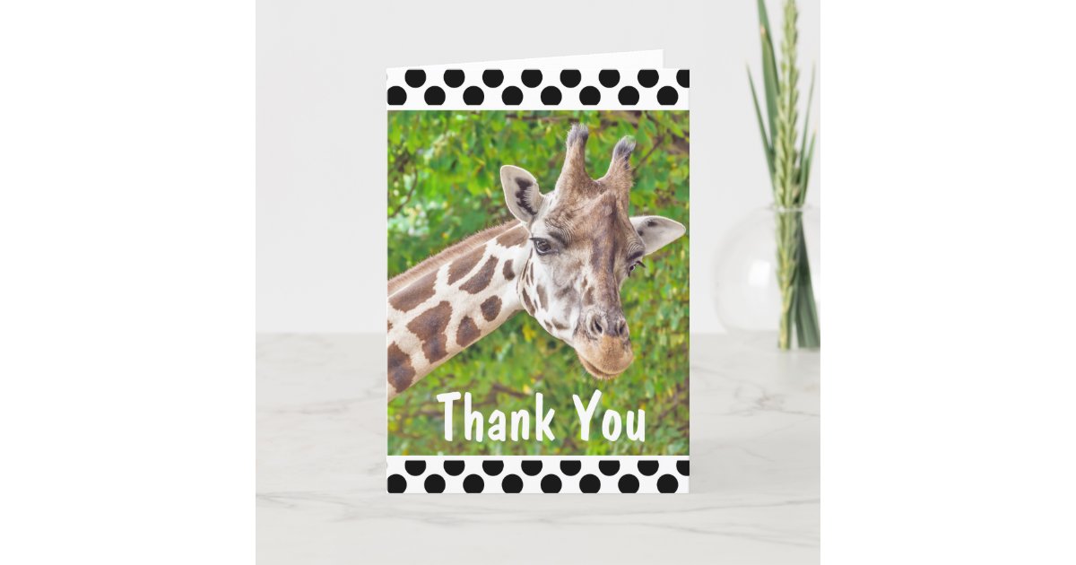 Giraffe Thank You | Zazzle