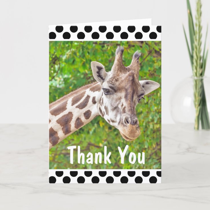 Giraffe Thank You | Zazzle