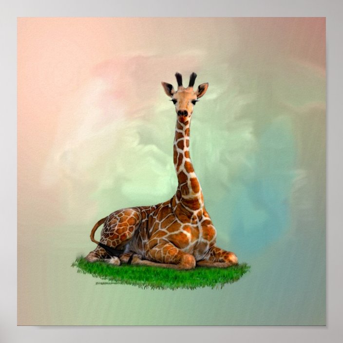 Giraffe Wildlife Wild Animals Poster | Zazzle.com