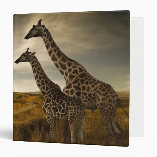 Giraffes and The Landscape 3 Ring Binder | Zazzle.com