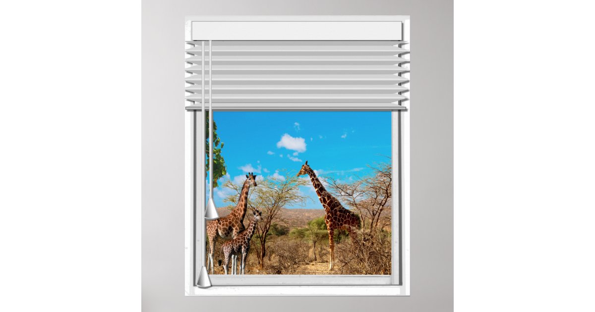Giraffes Fake Window View Poster | Zazzle