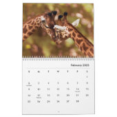 Giraffes Wall Calendar | Zazzle