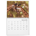 Giraffes Wall Calendar | Zazzle