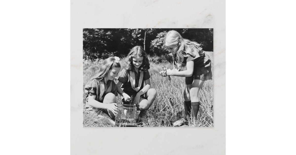 Girls Collecting Frogs, 1940s Postcard | Zazzle