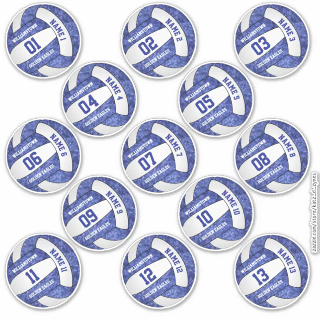 girly blue volleyball w player names set of 13 sticker | Zazzle