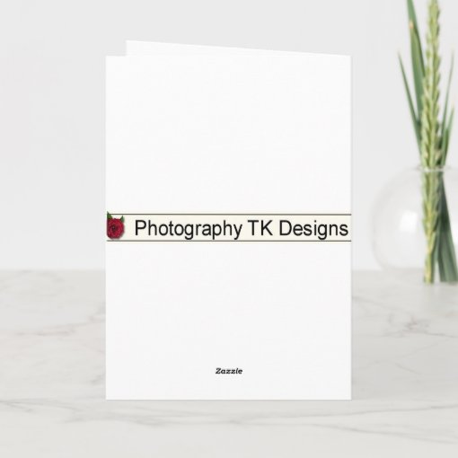 Girly Graduation Congratulations With Pink Ribbon Card | Zazzle