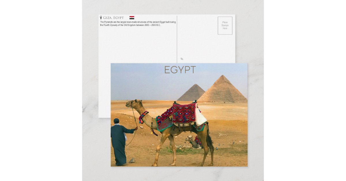 Giza Pyramids, Egypt Postcard | Zazzle
