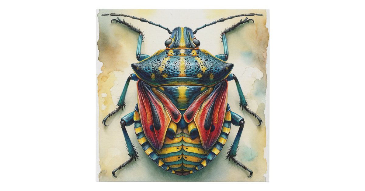 Gladiator Bug Dorsal View IREF601 - Watercolor Faux Canvas Print | Zazzle