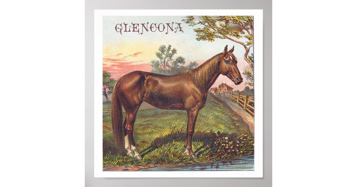 Glencona Vintage Chestnut Racing Horse Poster | Zazzle